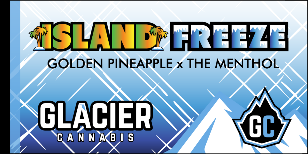 Strain Catalog » Glacier Canna