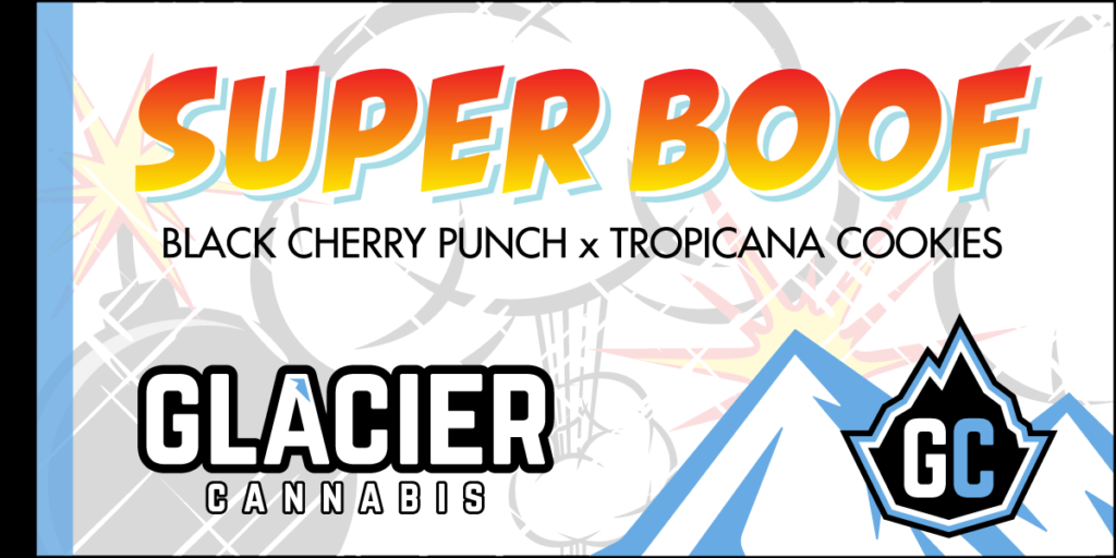 Strain Catalog » Glacier Canna