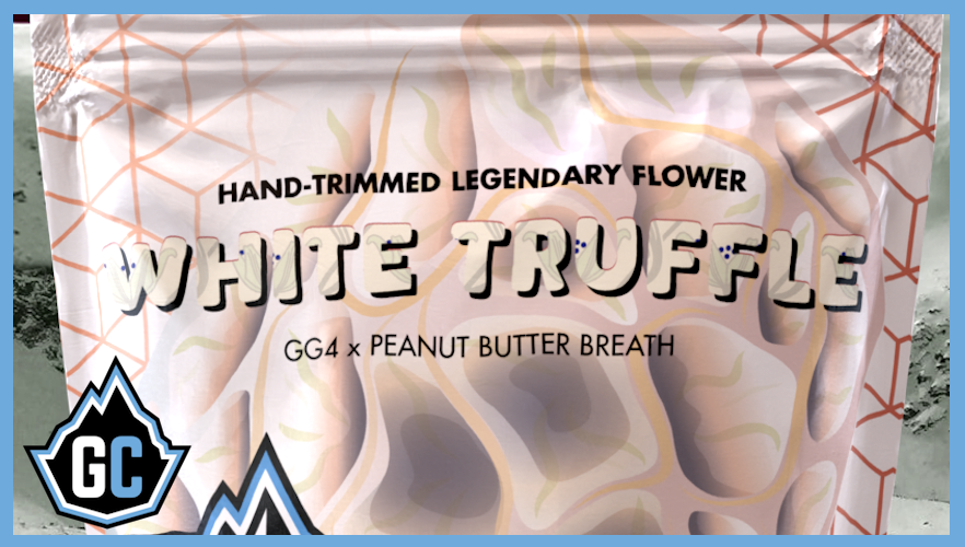 STRAIN: WHITE TRUFFLE » Glacier Canna